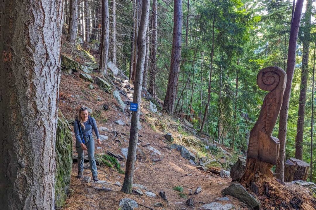 How To Hike The Tiki Trail from Queenstown - My Queenstown Diary