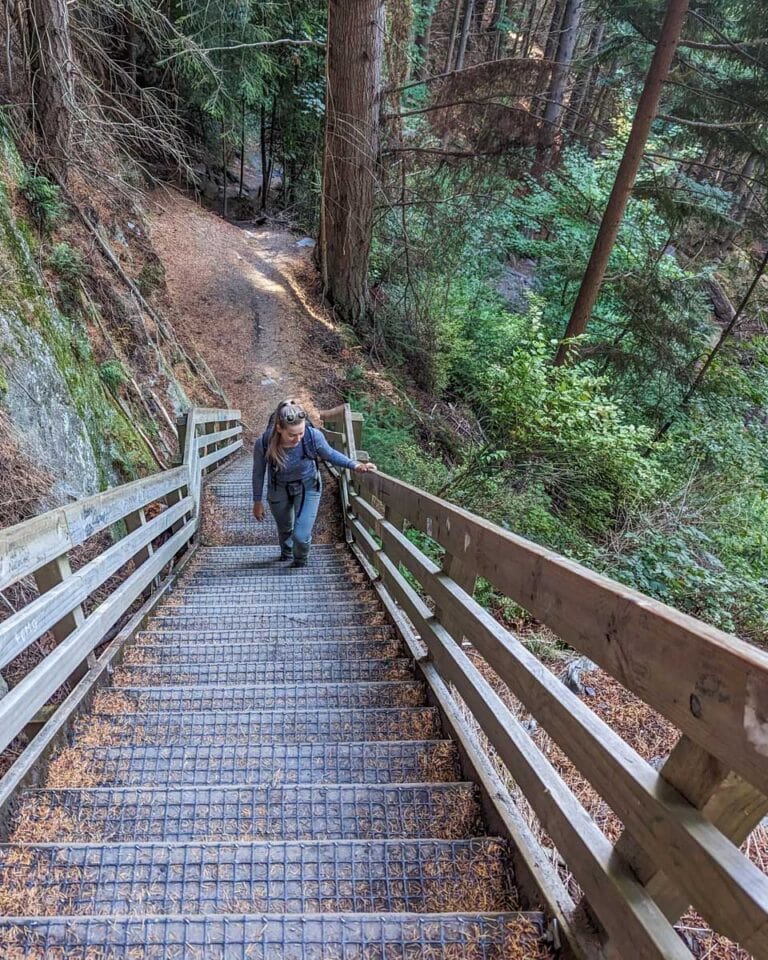 How To Hike The Tiki Trail from Queenstown - My Queenstown Diary