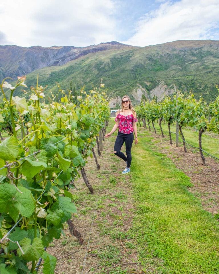 10 BEST Places to go Sightseeing in Queenstown + Top Tours - My ...