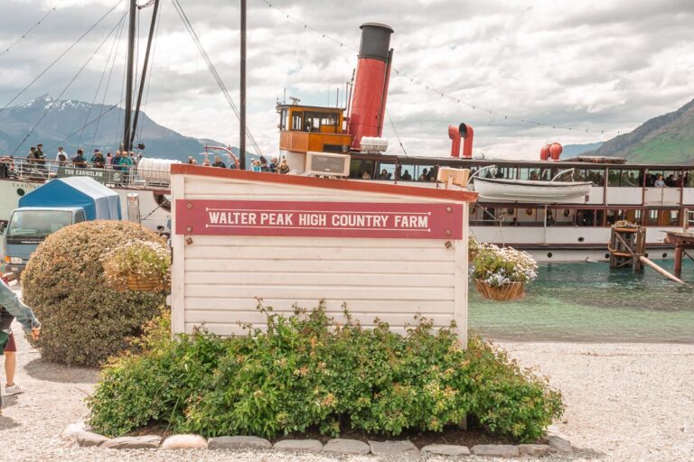 How to Pick the BEST Lake Cruise in Queenstown - My Honest Review!