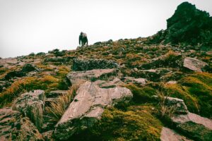 How to Hike the Lake Alta Track - My Queenstown Diary