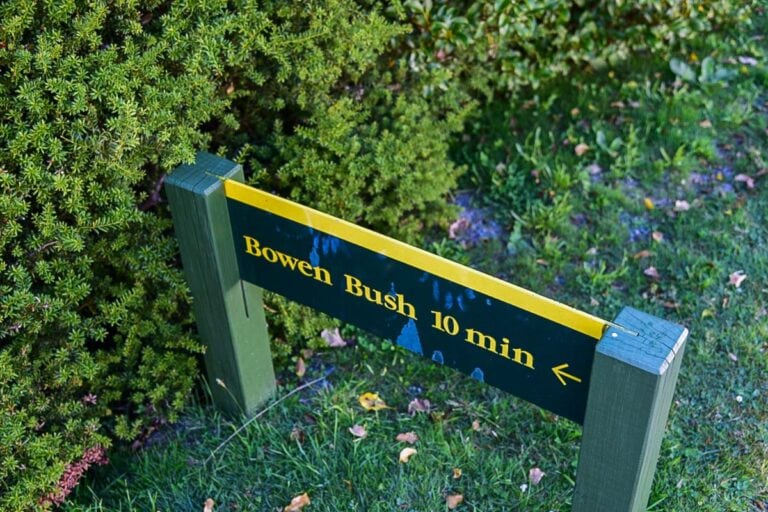 10 BEST Walks and Hikes in Mount Cook National Park (2025 Guide!)