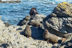 27 BEST Hikes on the North Island, New Zealand - My Queenstown Diary