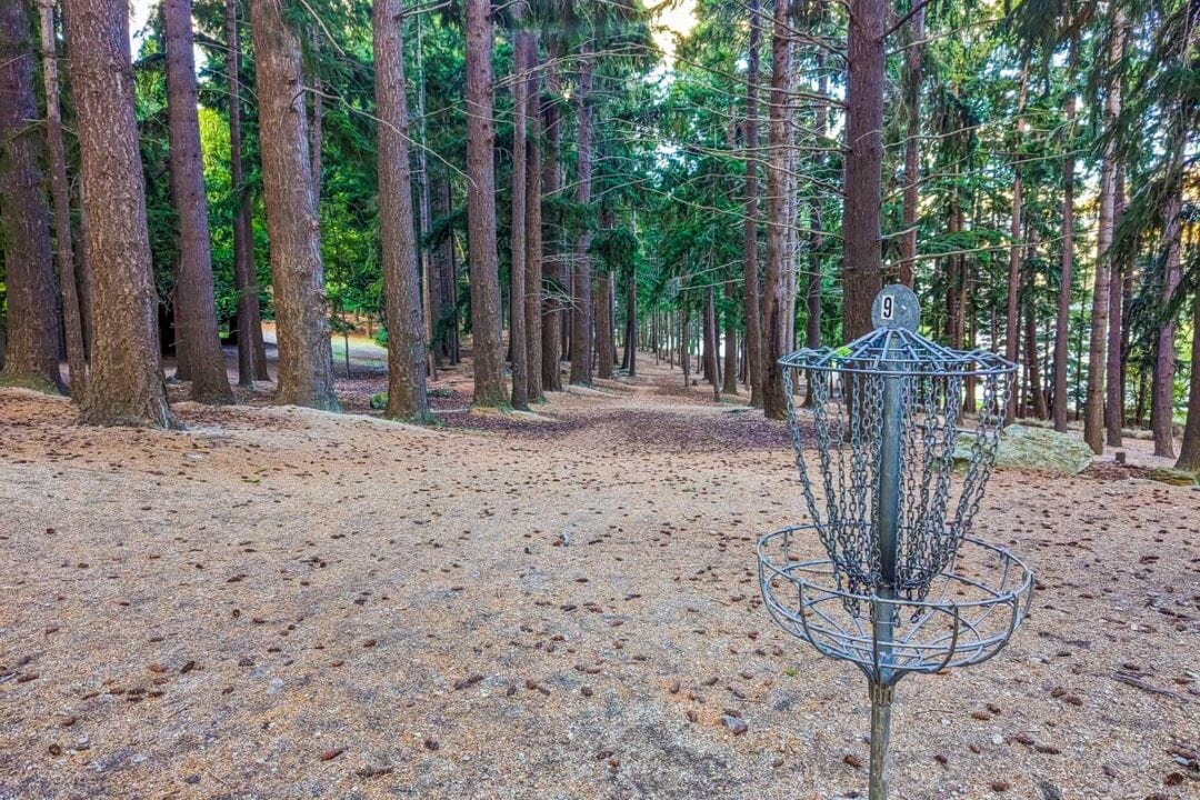 30 Things to do in Queenstown with Kids (FREE and Cheap Activities!)