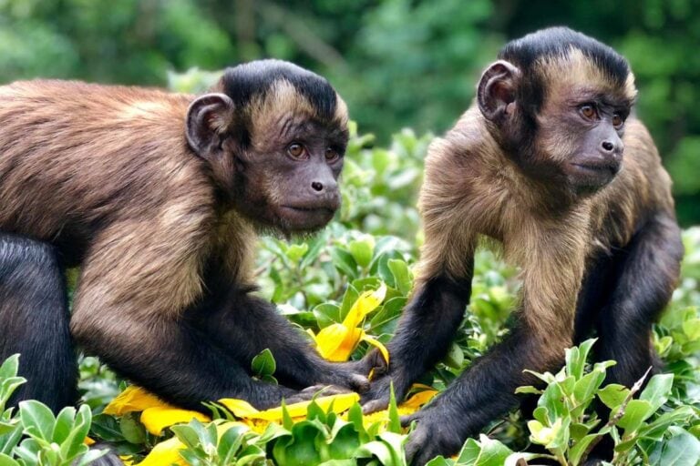 13 BEST Day Trips from Christchurch to Explore More (2025 Guide!) - My ...