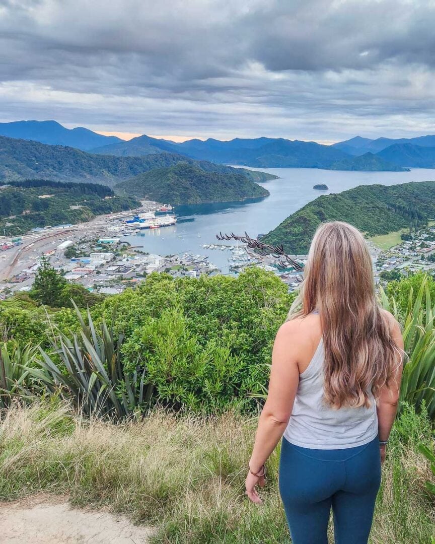 6 BEST Marlborough Sounds Cruises in Picton +My TOP Choices - My ...