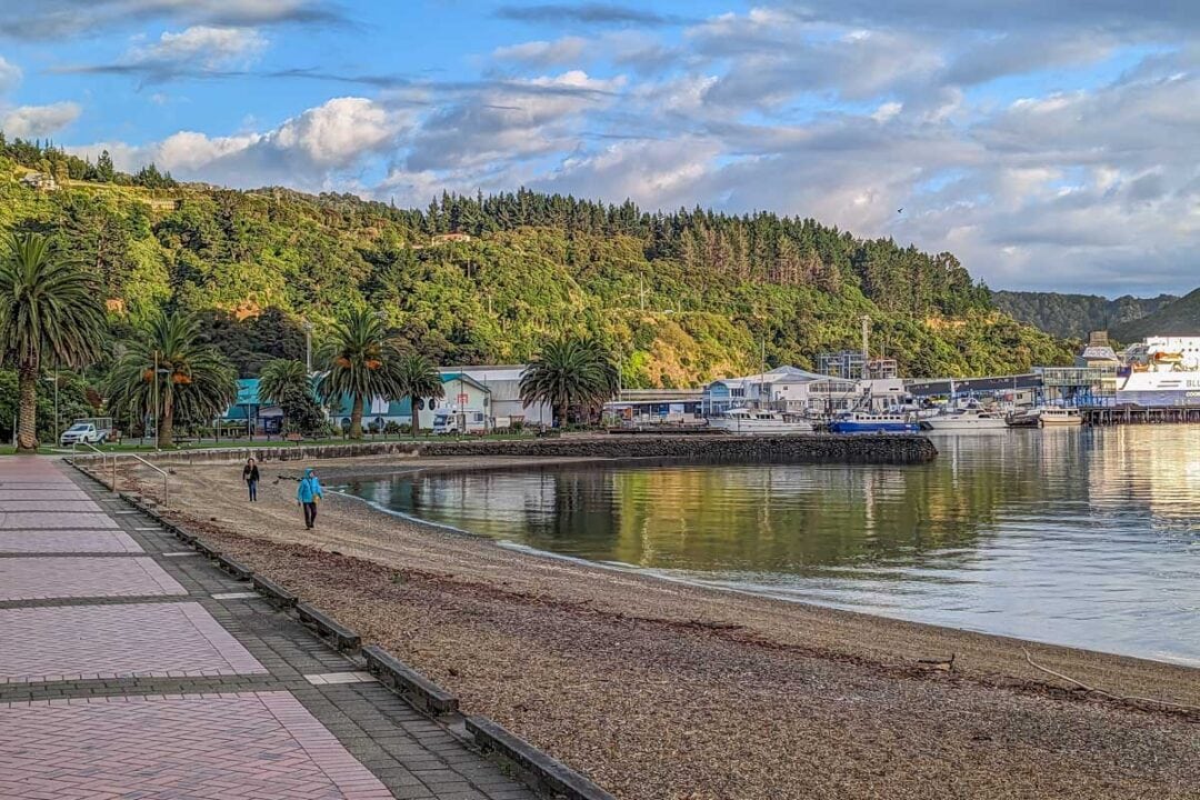 21 FUN Things to do in Picton, New Zealand - My Queenstown Diary