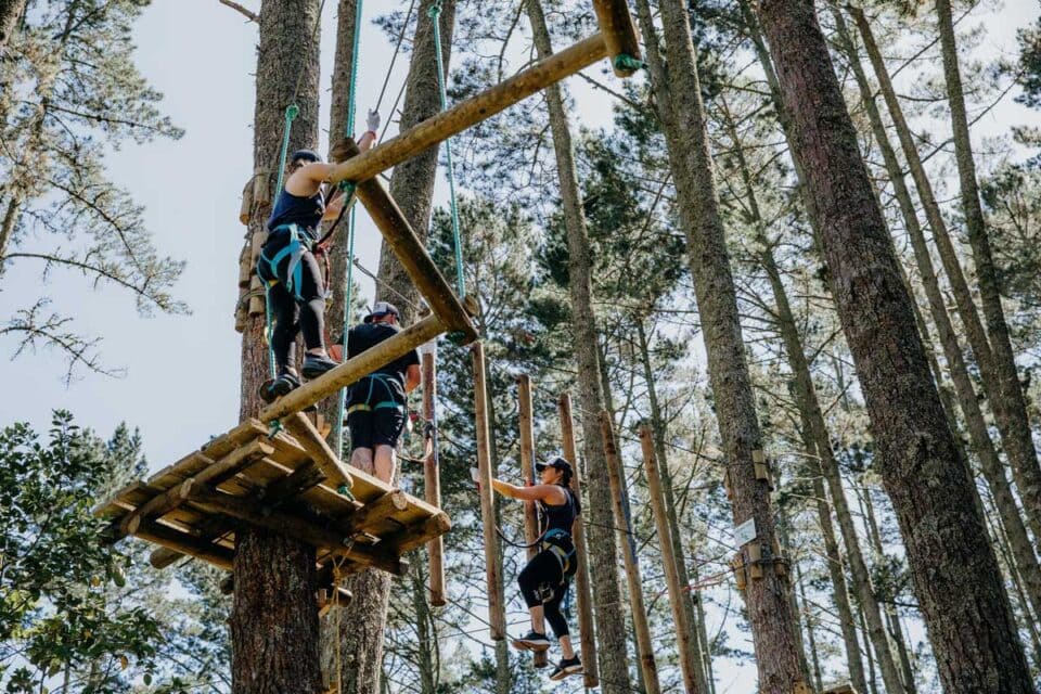 12 BEST Day Trips from Wellington, NZ to Explore the Area - My ...