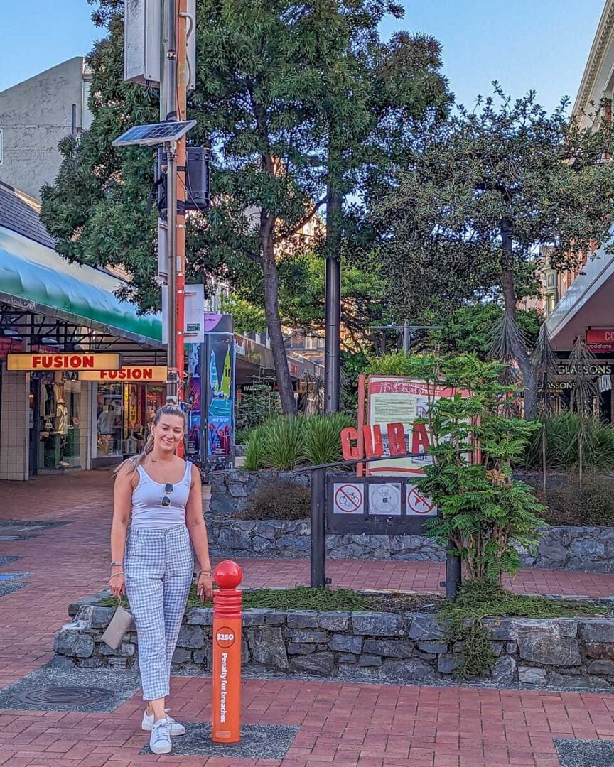 33 BEST Things to do in Wellington, New Zealand (2026 Guide!) - My ...