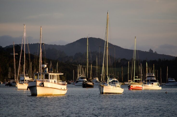12 BEST Places to Stop on the Drive from Auckland to Paihia