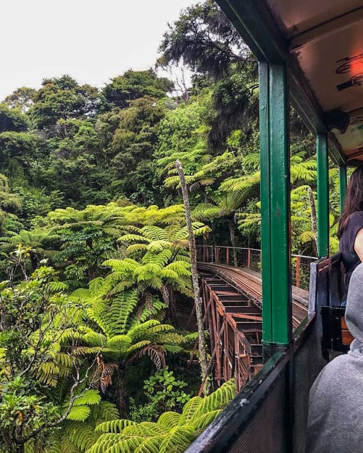 25 FUN Things to do on the Coromandel Peninsula, New Zealand