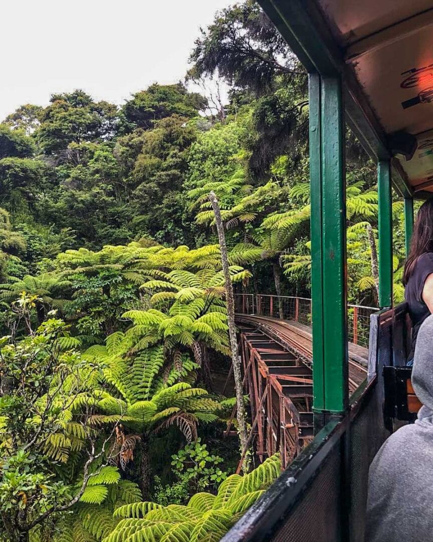 25 FUN Things to do on the Coromandel Peninsula, New Zealand