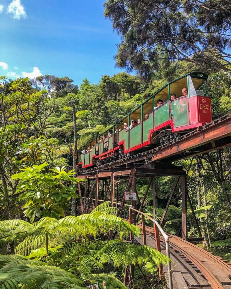 25 FUN Things to do on the Coromandel Peninsula, New Zealand