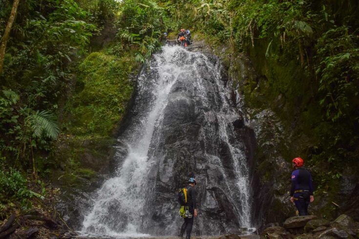 25 BEST Things to do in Raglan & Guide - My Queenstown Diary