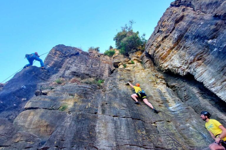 25 BEST Things to do in Raglan & Guide - My Queenstown Diary