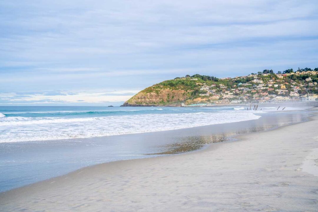 10 BEST Hotels in Dunedin - Where to Stay near the City & Beach