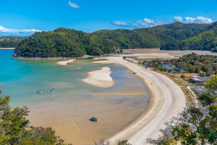 33 BEST Things to do in Nelson, New Zealand - My Queenstown Diary