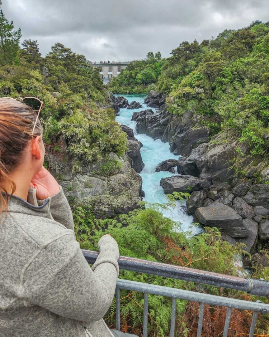 17 BEST Stops on the Taupo to Wellington Road Trip - My Queenstown Diary