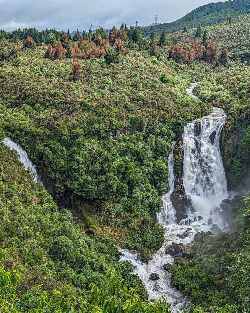 7 BEST Stops on the Drive from Taupo to Napier - My Queenstown Diary