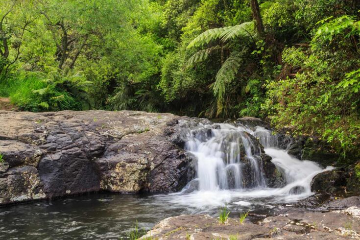 21 BEST Waterfalls in New Zealand (North and South Islands)