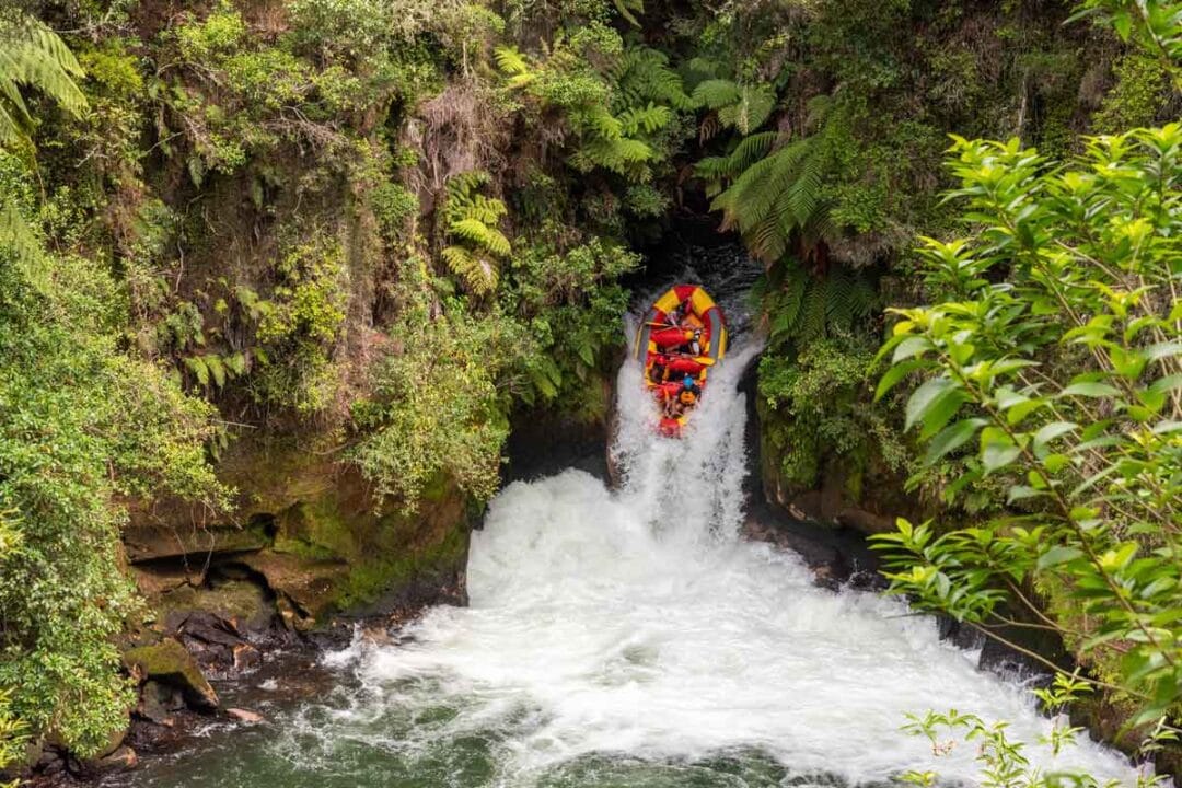 8 BEST Stops on the Drive from Tauranga to Rotorua