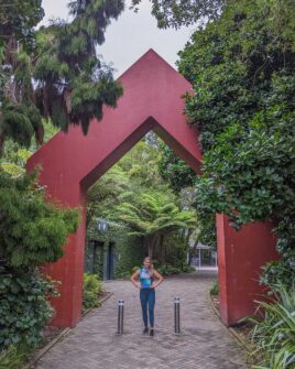 24 FUN Things to do in Hamilton, New Zealand - My Queenstown Diary