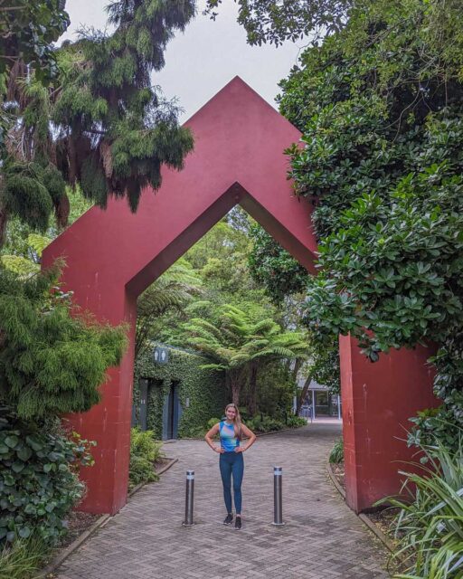 13 BEST Stops on the Drive from Auckland to Rotorua