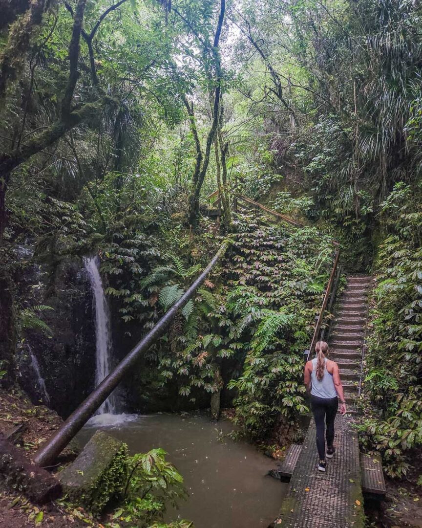 13 BEST Stops on the Drive from Auckland to Rotorua