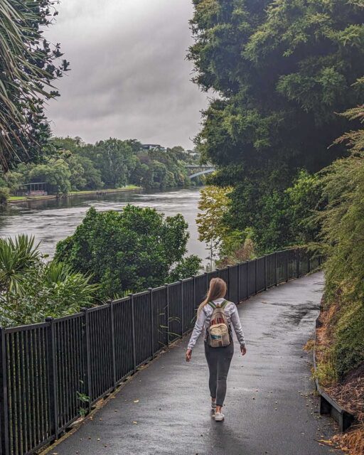 14 BEST Stops on the Drive from Auckland to Tauranga - My Queenstown Diary