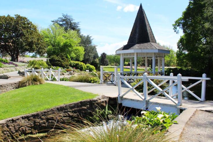 23 BEST Things to do in Blenheim, NZ - My Queenstown Diary