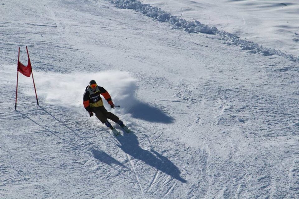 26 BEST Things to do in Blenheim, NZ - My Queenstown Diary