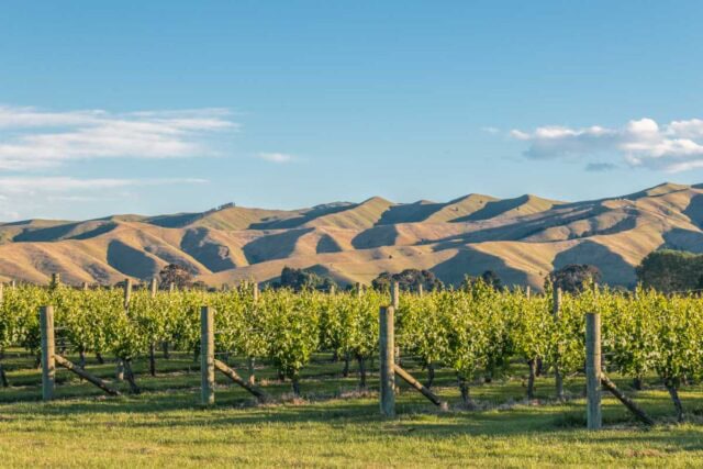 23 BEST Things to do in Blenheim, NZ - My Queenstown Diary