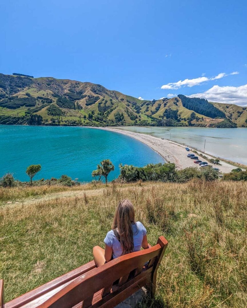 34 BEST Things to do in Nelson, New Zealand (2025 Guide!) - My ...