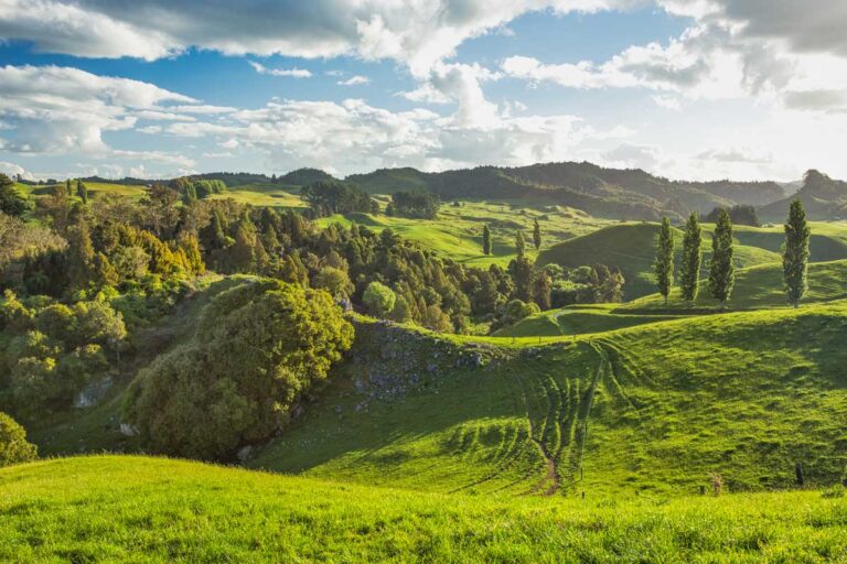 13 Things to KNOW Before Visiting Waitomo Caves, NZ (My Top Tips!)