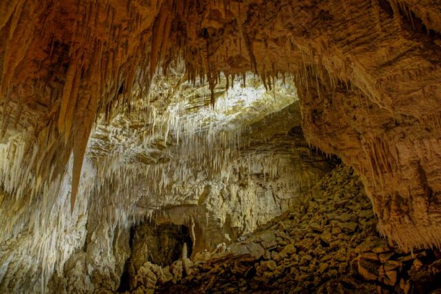 13 Things to KNOW Before Visiting Waitomo Caves, NZ (My Top Tips!)