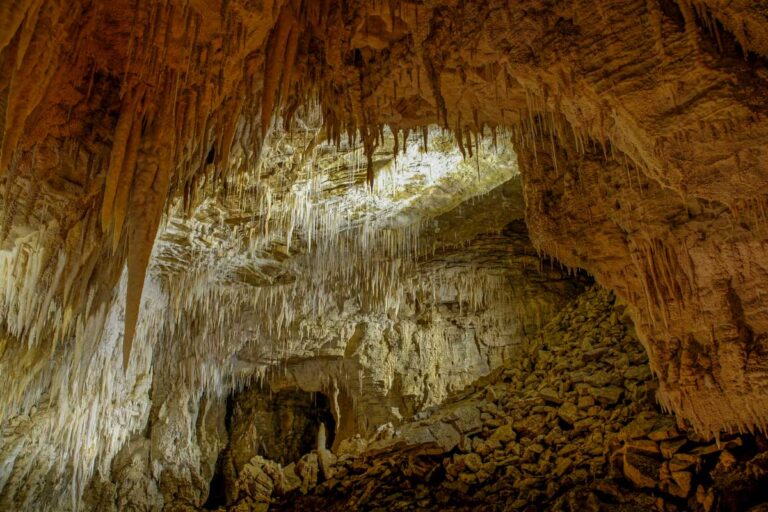 13 Things to KNOW Before Visiting Waitomo Caves, NZ (My Top Tips!)