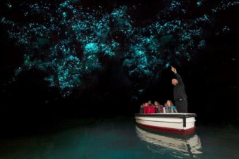 13 Things to KNOW Before Visiting Waitomo Caves, NZ (My Top Tips!)