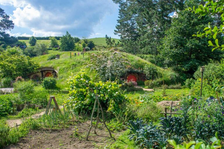 4 BEST Tours to Hobbiton from Auckland +Things to Know Before Booking ...