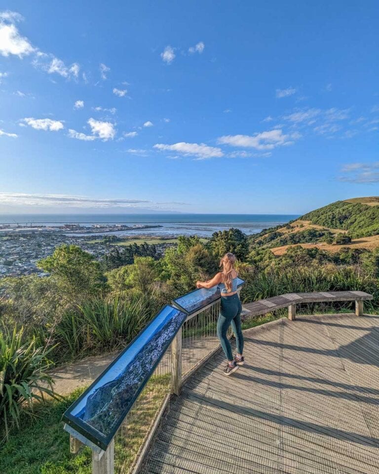 34 BEST Things to do in Nelson, New Zealand (2026 Guide!) - My ...