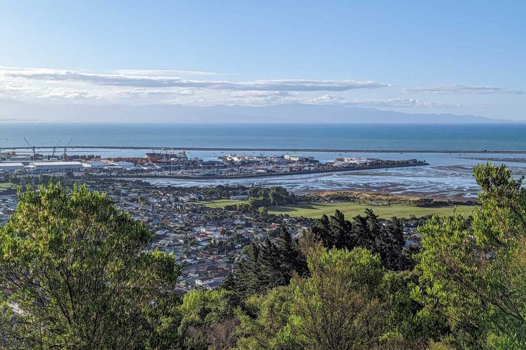 34 BEST Things to do in Nelson, New Zealand (2025 Guide!) - My ...