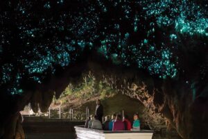 13 Things to KNOW Before Visiting Waitomo Caves, NZ (My Top Tips!)