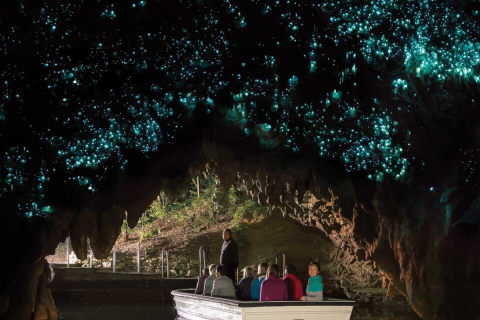 13 Things to KNOW Before Visiting Waitomo Caves, NZ (My Top Tips!)