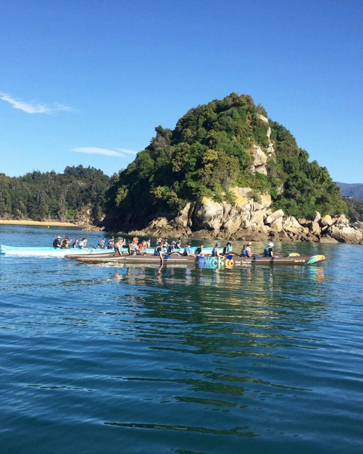 33 BEST Things to do in Nelson, New Zealand - My Queenstown Diary