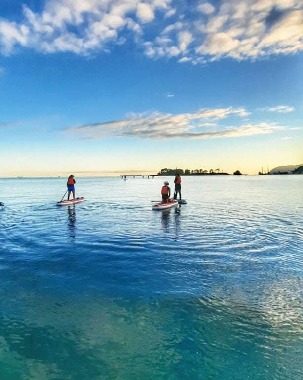 33 BEST Things to do in Nelson, New Zealand - My Queenstown Diary