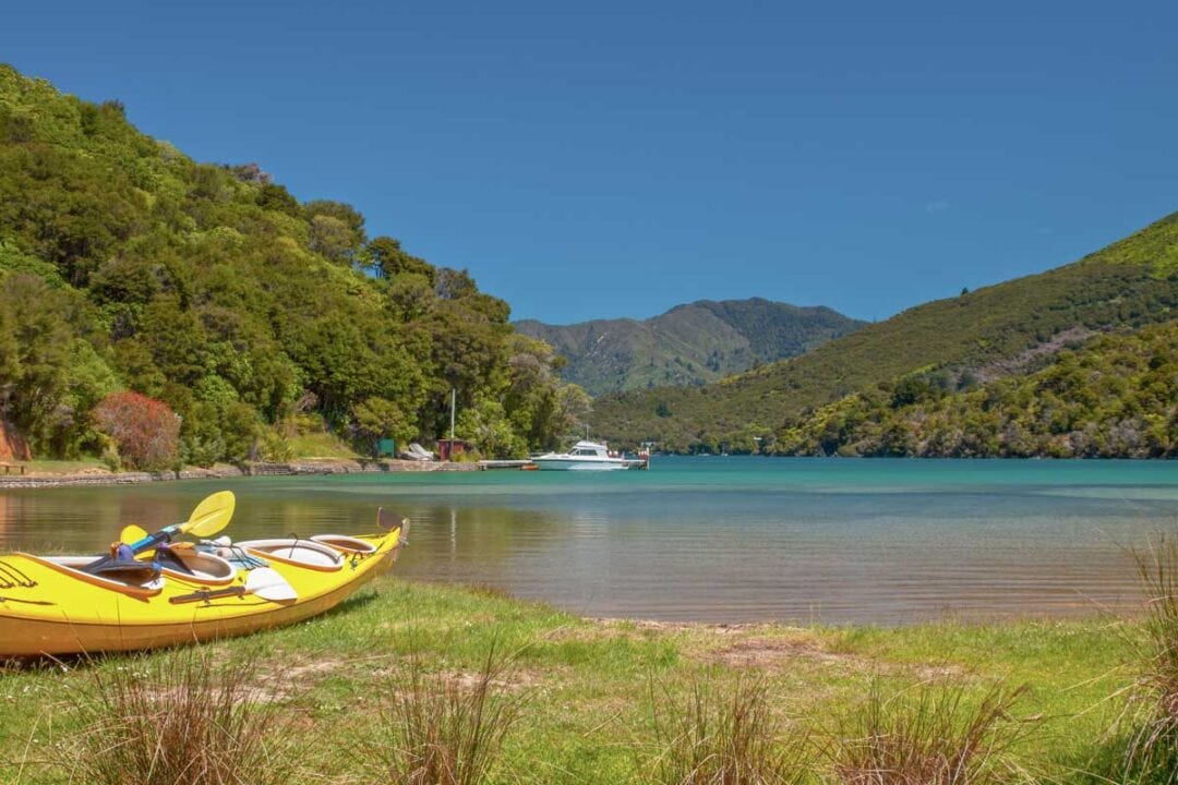 10 Things to KNOW Before Visiting the Marlborough Sounds (My Top Tips!)