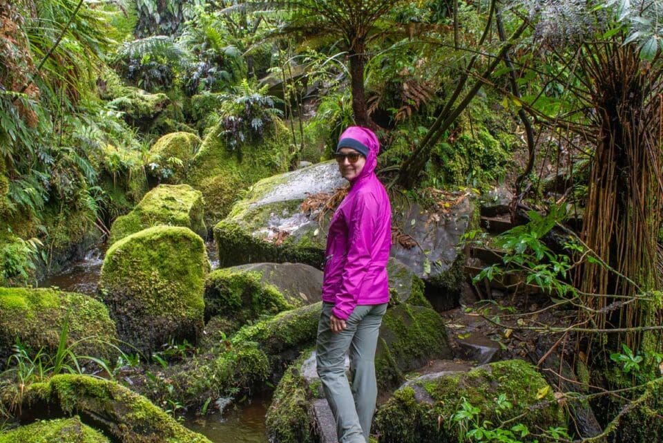 18 Best Things to Do in the Catlins, New Zealand + Guide - My Queenstown Diary