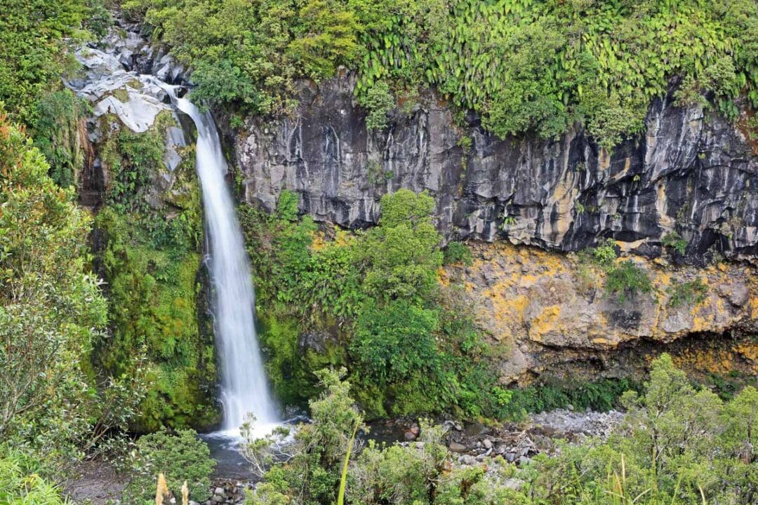 21 BEST Waterfalls in New Zealand (North and South Islands)
