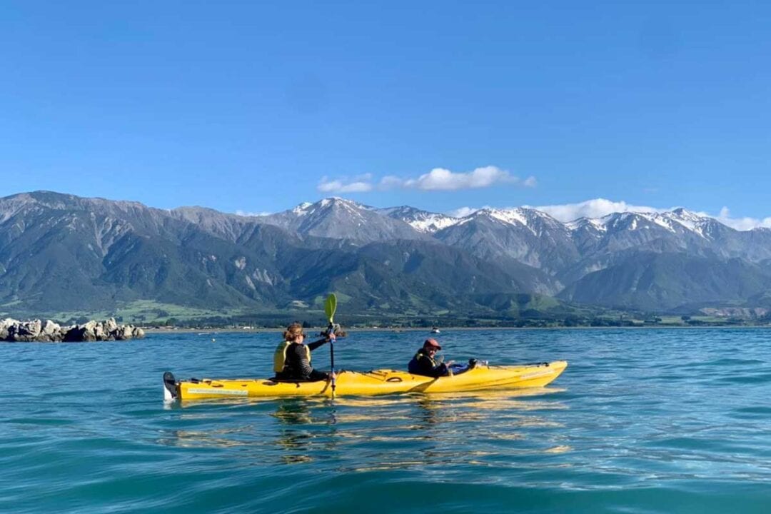 11 Things to KNOW Before Going Whale Watching in Kaikoura +My Top Tips