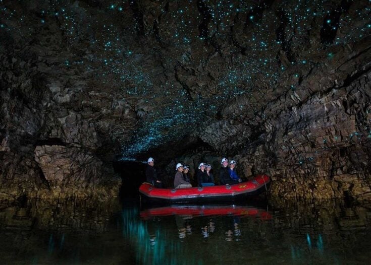 12 BEST Places to See Glow Worms in New Zealand