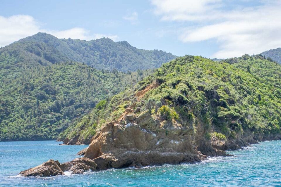 10 Things to KNOW Before Visiting the Marlborough Sounds (My Top Tips!)